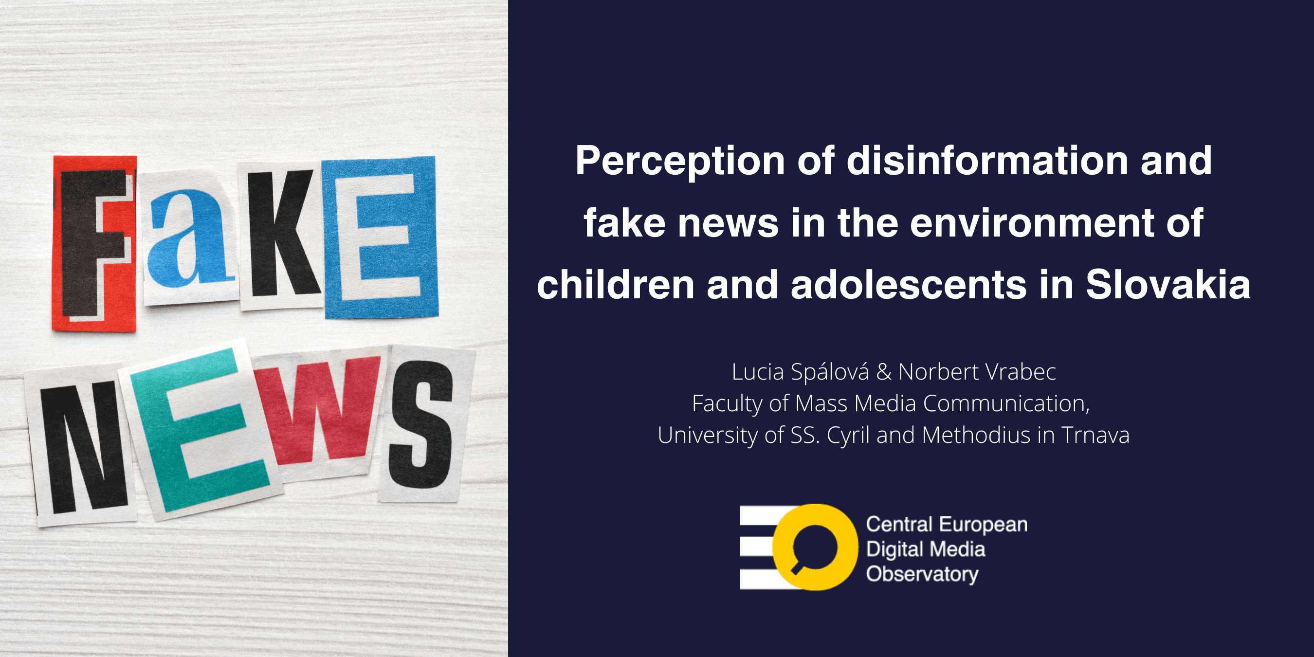 Perception of Disinformation and Fake News in the Environment of ...
